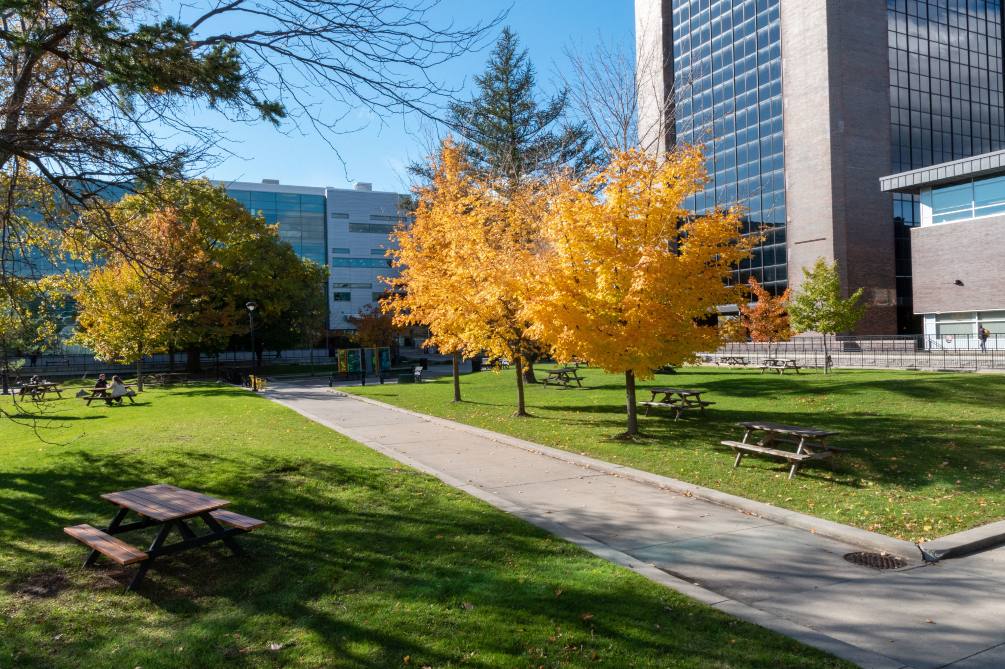 Training – CUSA Clubs